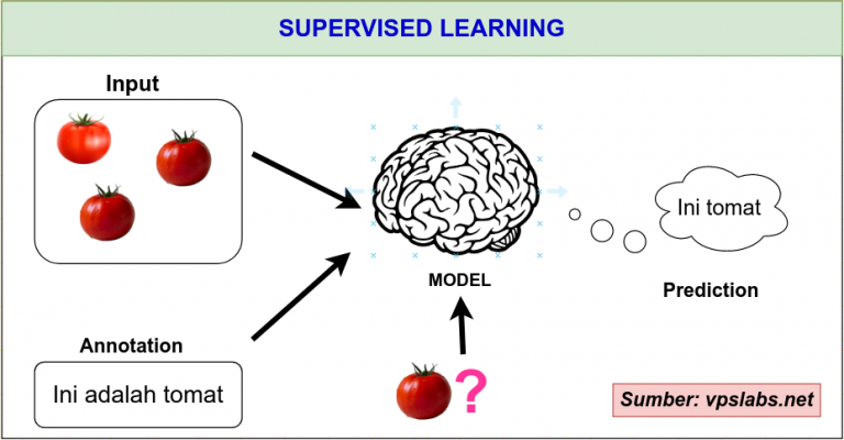 Supervised Learning, Algoritma & Contoh Penerapan Aplikasi - VPSLabs RnD